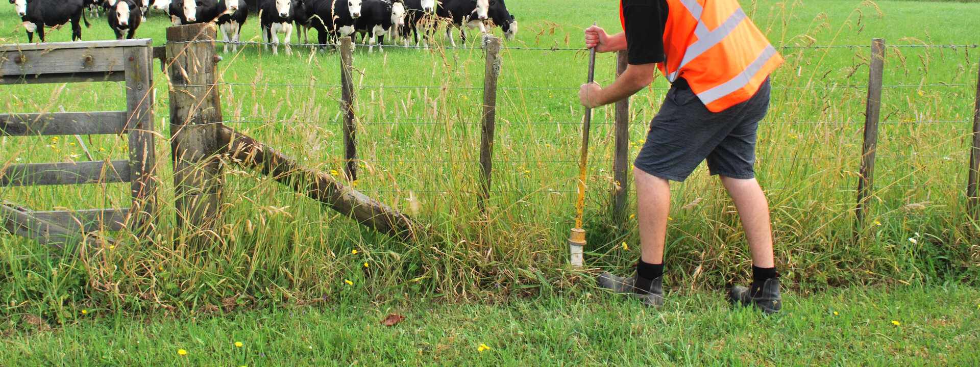 Boundary Peg Location | Reinstatement Survey | Cogswell Surveys - Waikato